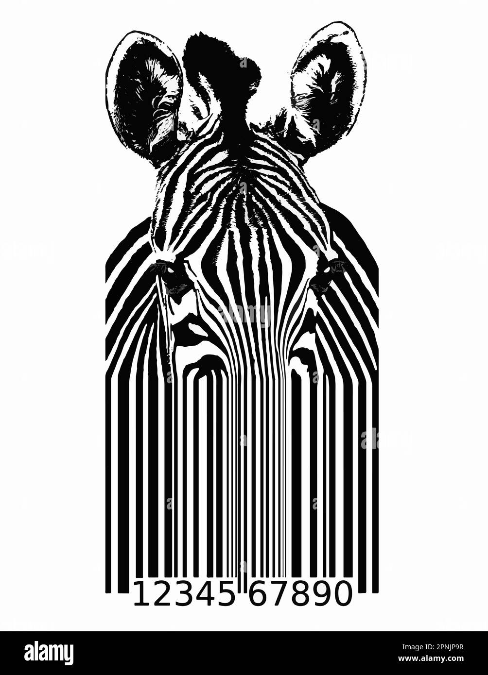 A zebra morphs into a bar code in this animal vector illustration Stock ...