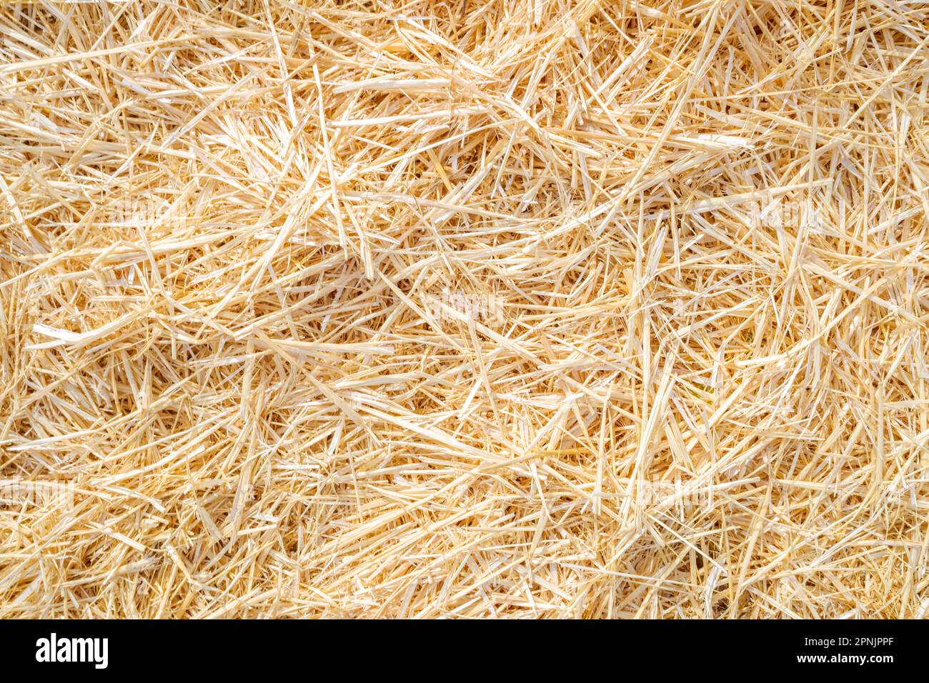 Natural dry straw background for designs Stock Photo - Alamy