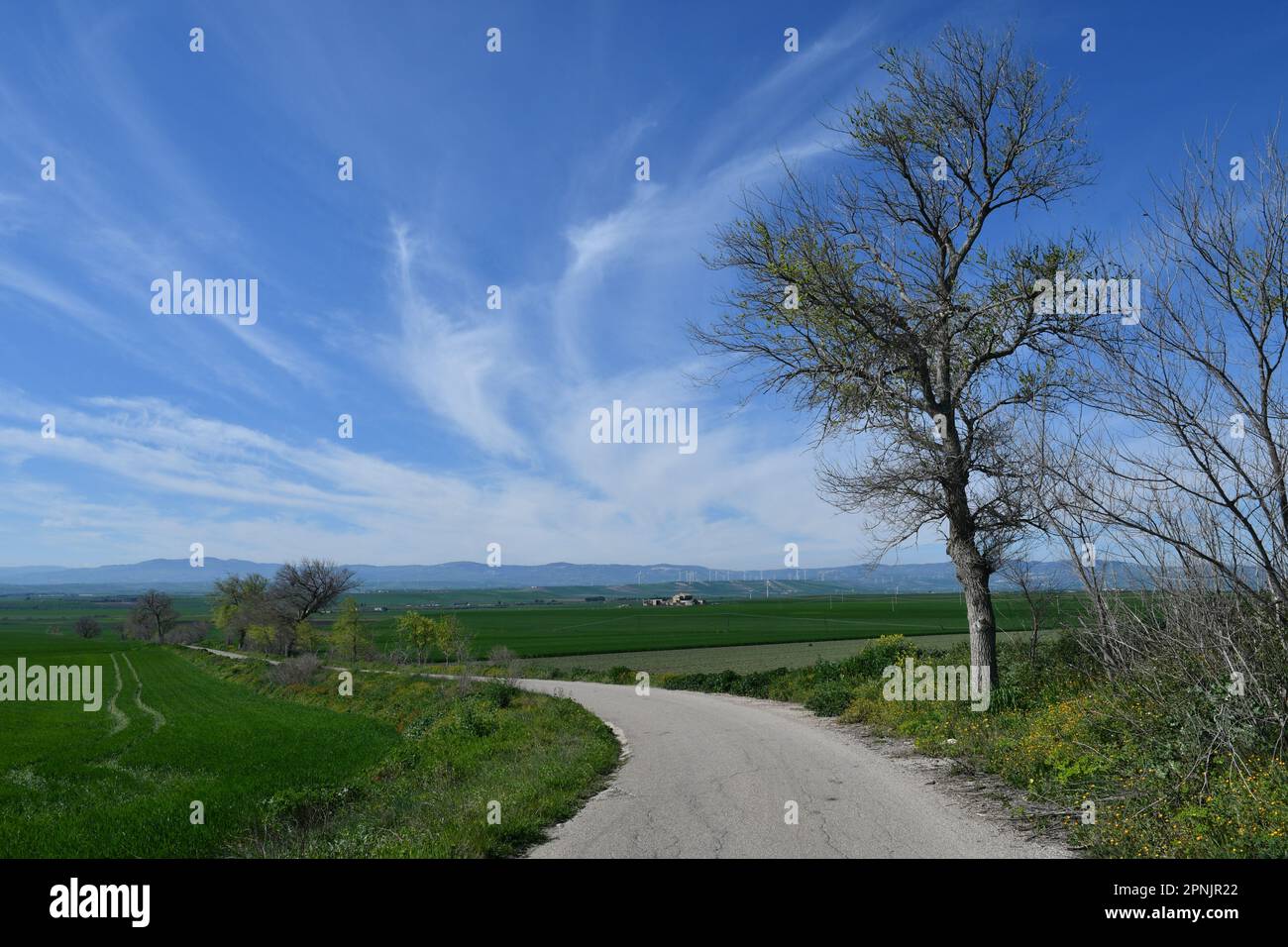Puglia countryside view hi-res stock photography and images - Alamy
