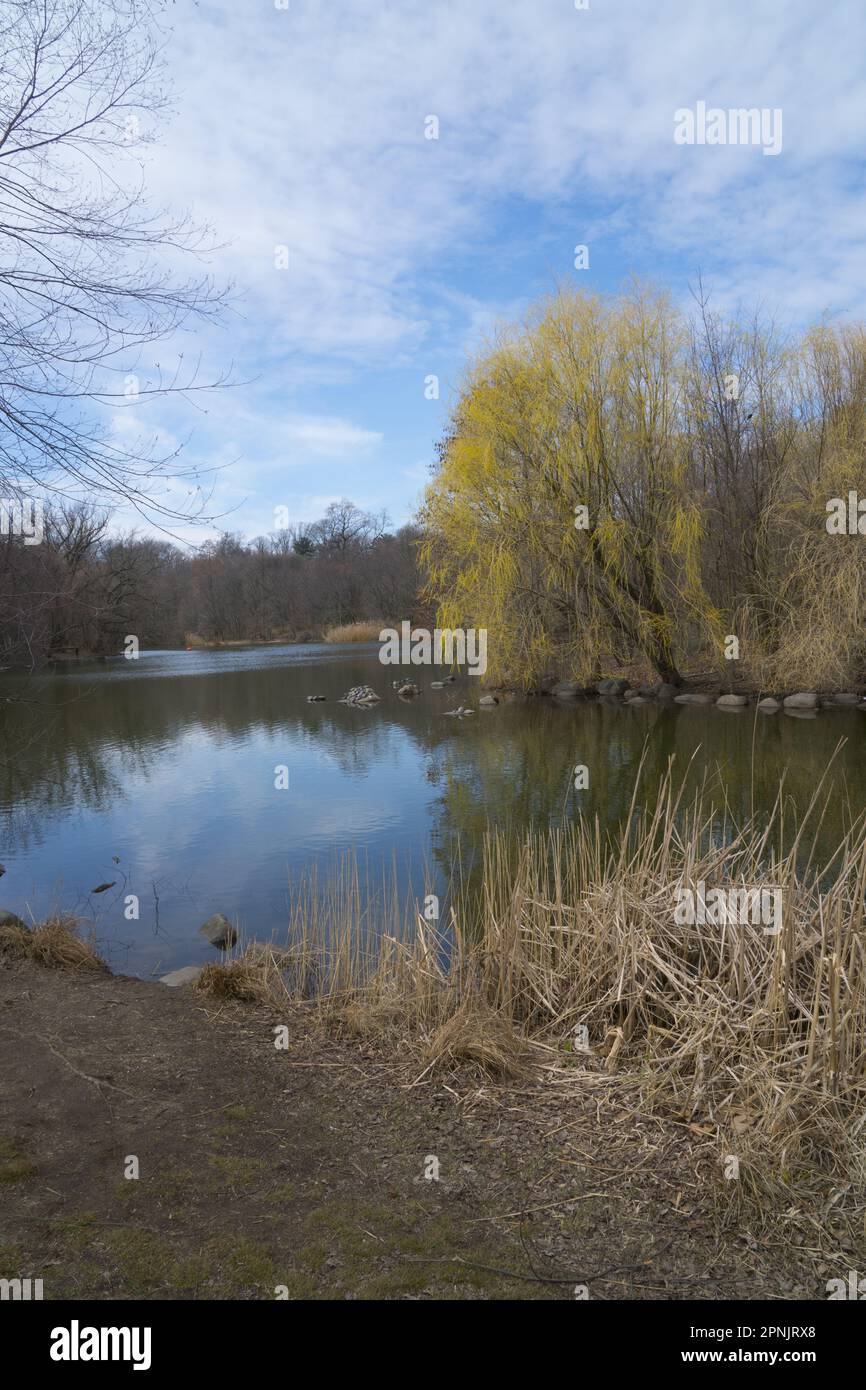 View along the lake in the early spring in Prospect Park, Brooklyn, New ...
