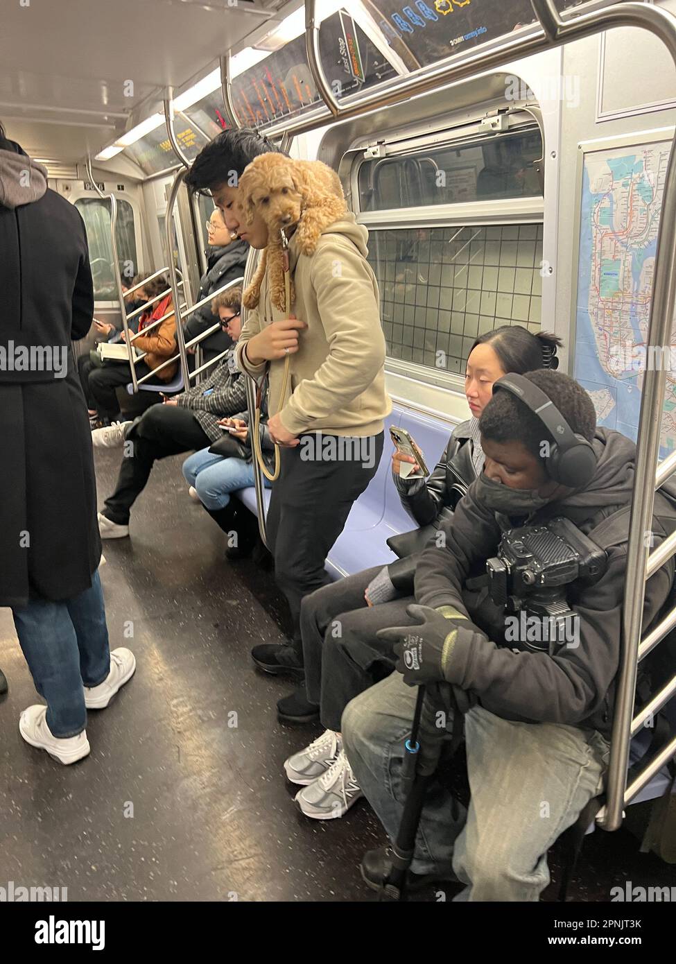 Man rides a subway train with his dog riding on his shoulder in New ...