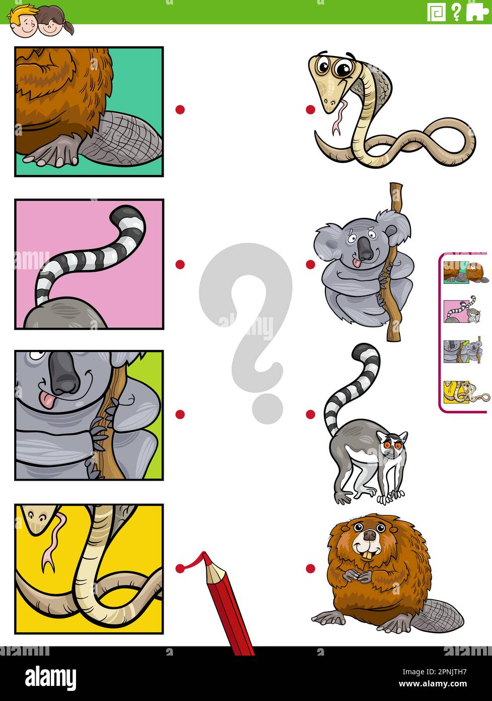 Cartoon illustration of educational matching game with animal ...