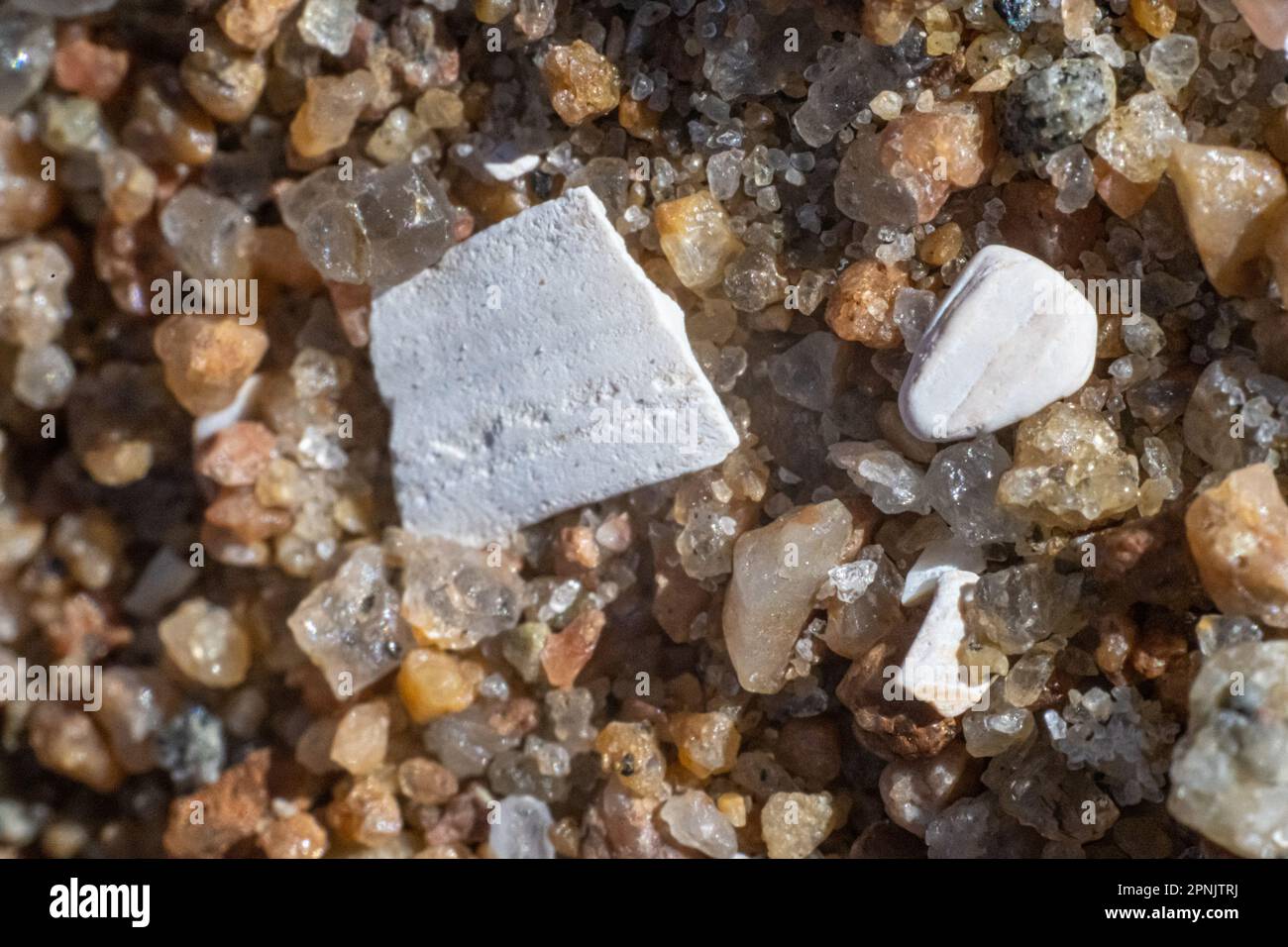 Macro photo of sand grains of a beach Stock Photo - Alamy