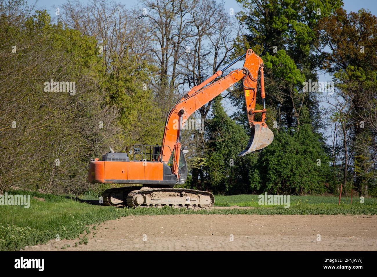 excavator at work in the forest Stock Photo - Alamy