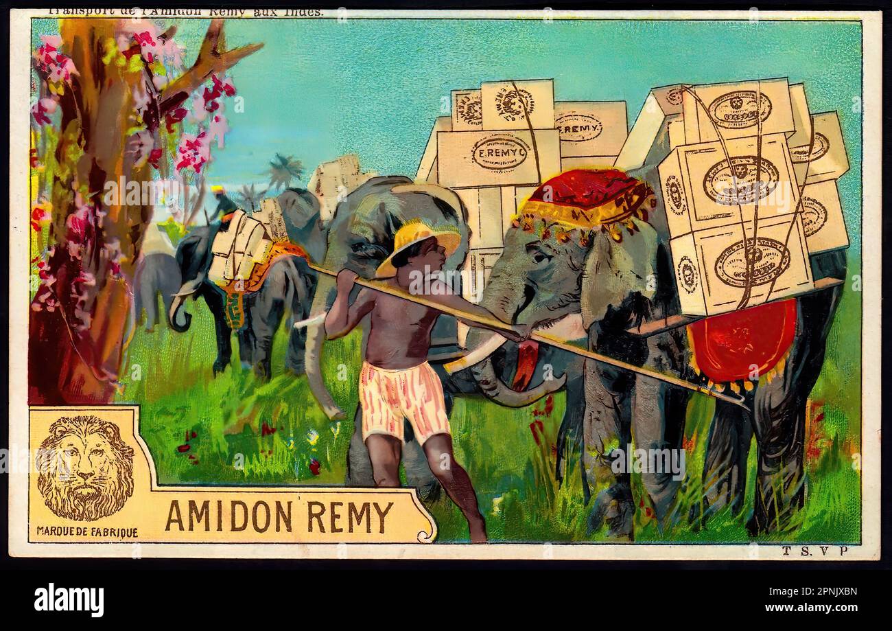 Transporting Amidon Remy in India - Vintage French Tradecard, Belle ...