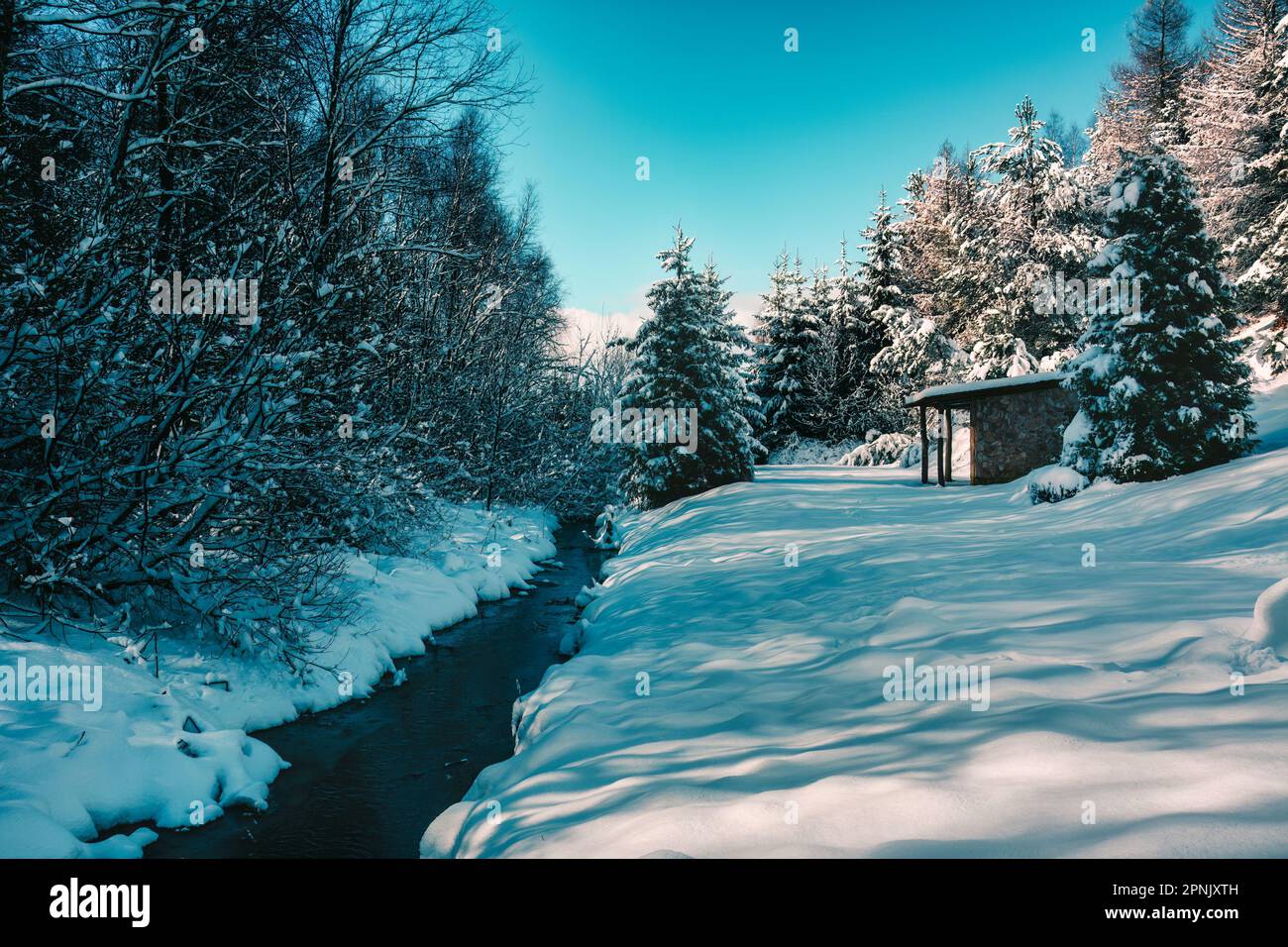 Borek, Kaszuby, Poland - winter part 1 Stock Photo - Alamy