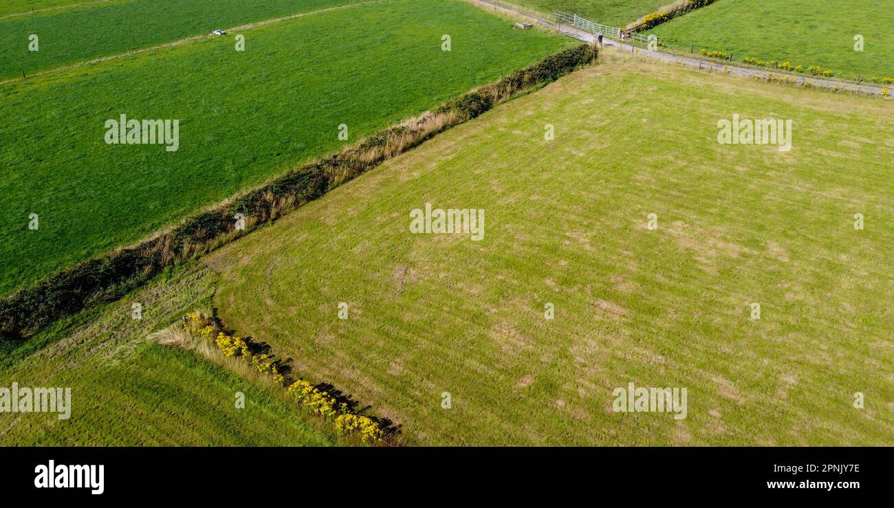 pastures for cattle in summer in Ireland, top view. Agricultural ...