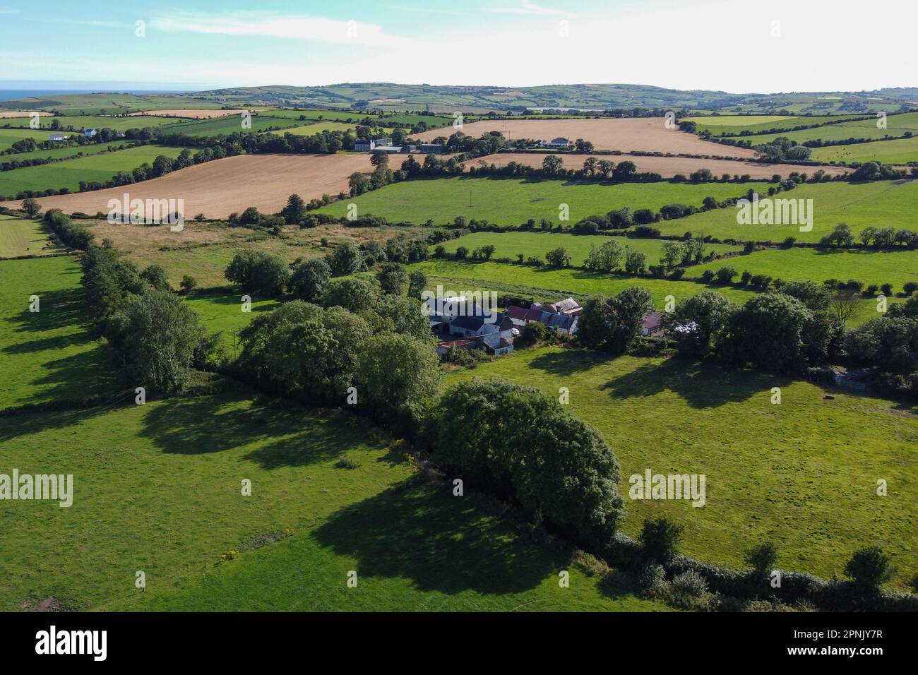 fields and trees near a small farm in Ireland in summer, top view ...