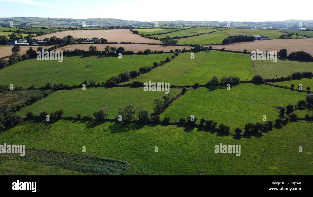 Green farm fields of Ireland lined with trees, top view. Green Irish ...