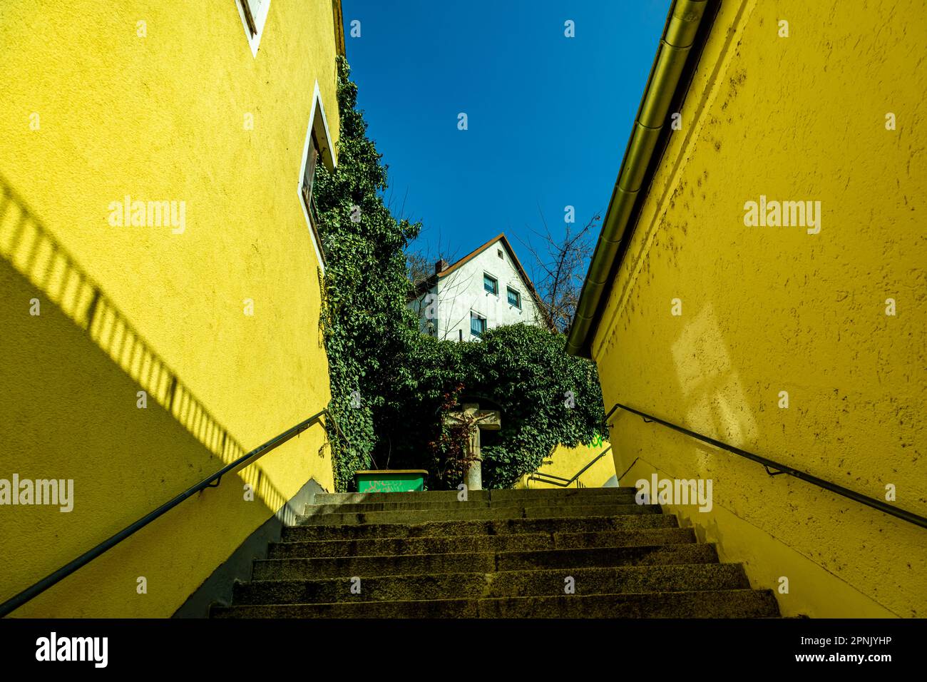 Spring hike through beautiful Danube delta near Donaustauf - Bavaria ...