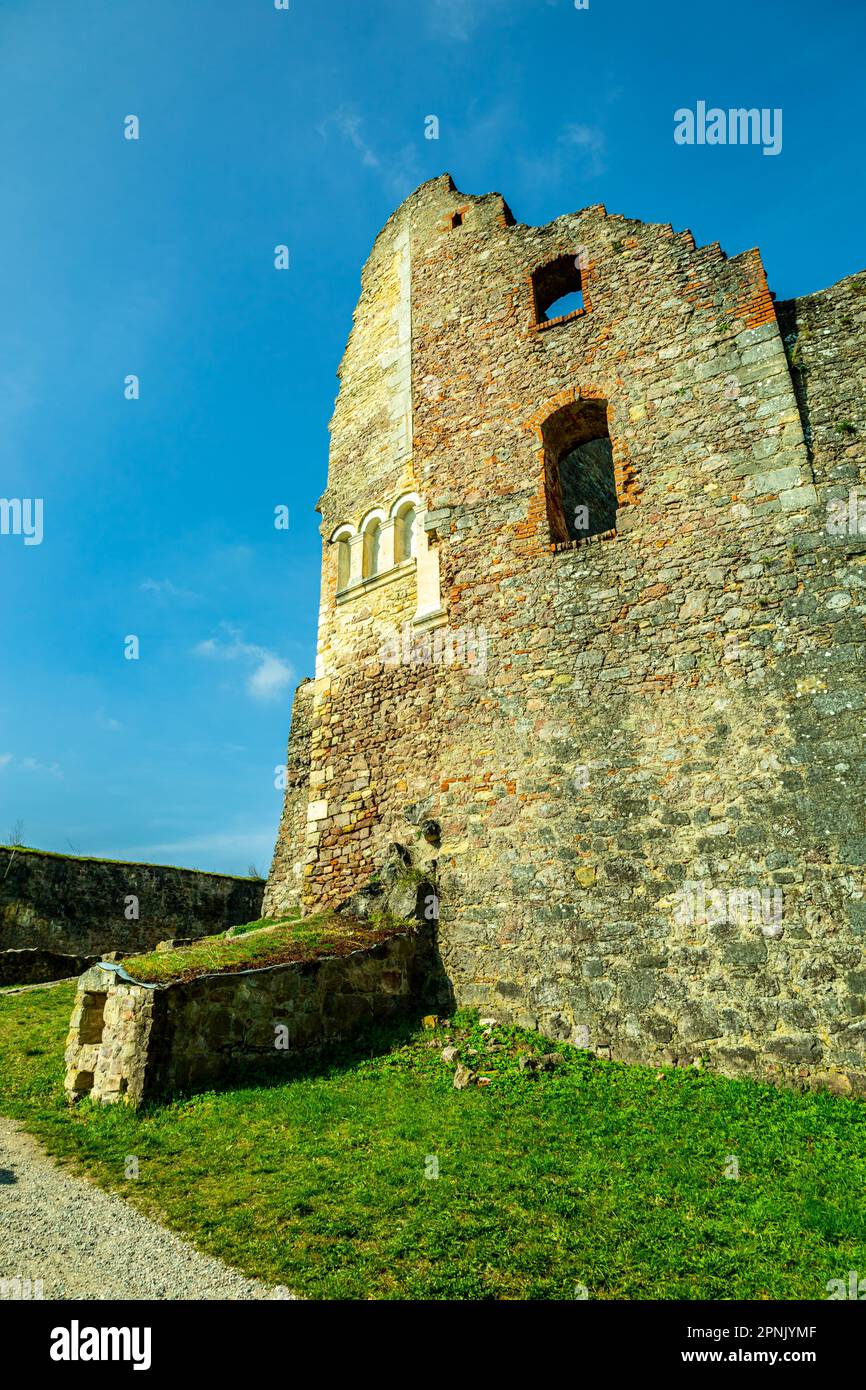 Spring hike through beautiful Danube delta near Donaustauf - Bavaria ...