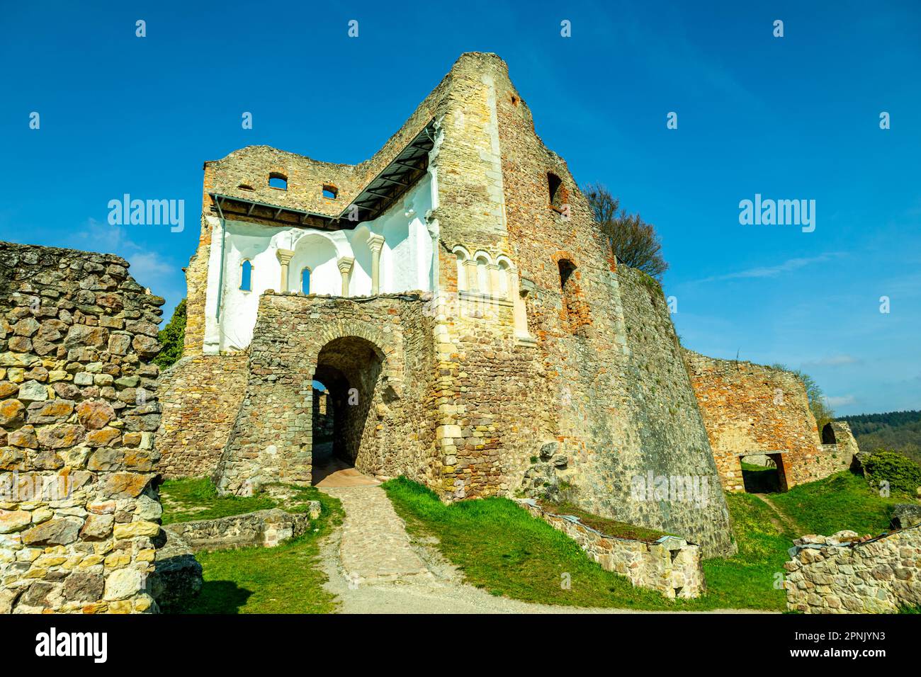 Spring hike through beautiful Danube delta near Donaustauf - Bavaria ...