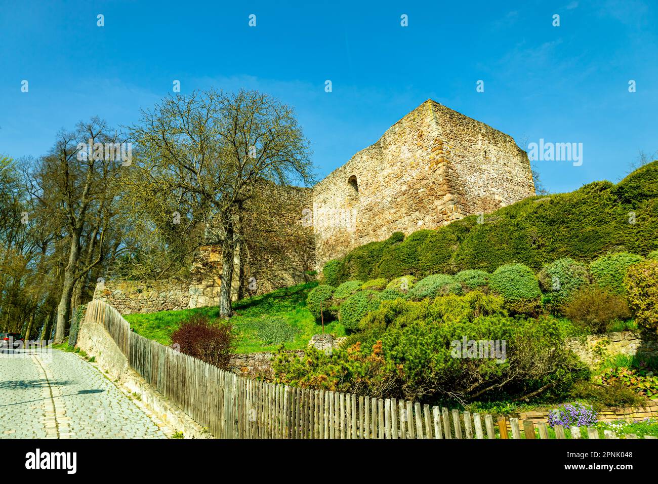 Spring hike through beautiful Danube delta near Donaustauf - Bavaria ...