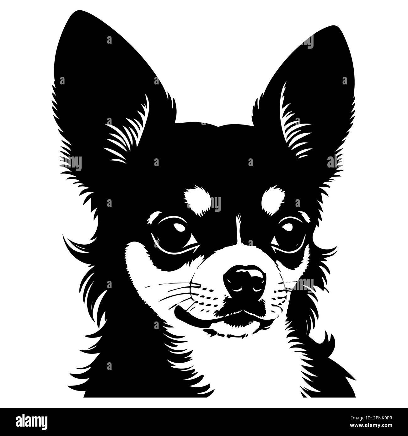 Portrait cute purebred chihuahua Stock Vector Images - Alamy