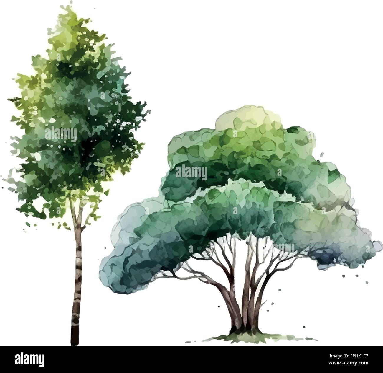 Watercolor tree hand draw vector nature painting Stock Vector Image ...