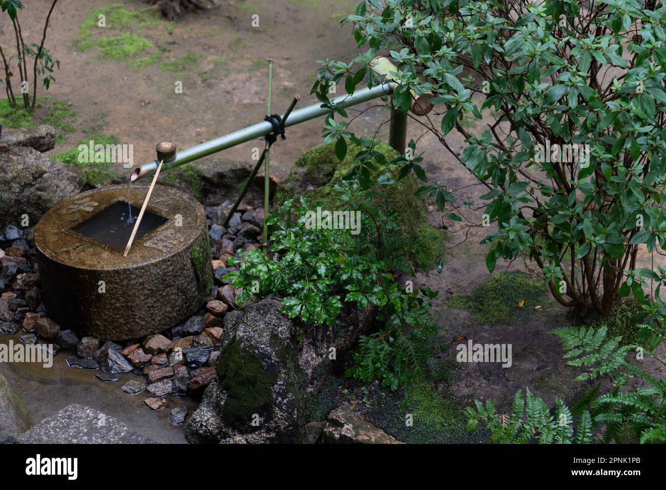 Tsukubai, or stone water basin, with a bamboo dipper, hisaku, for ...