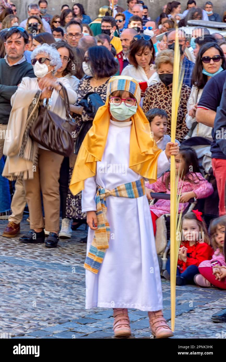 Venerable, Royal and Illustrious Brotherhood of Our Mother Mary ...