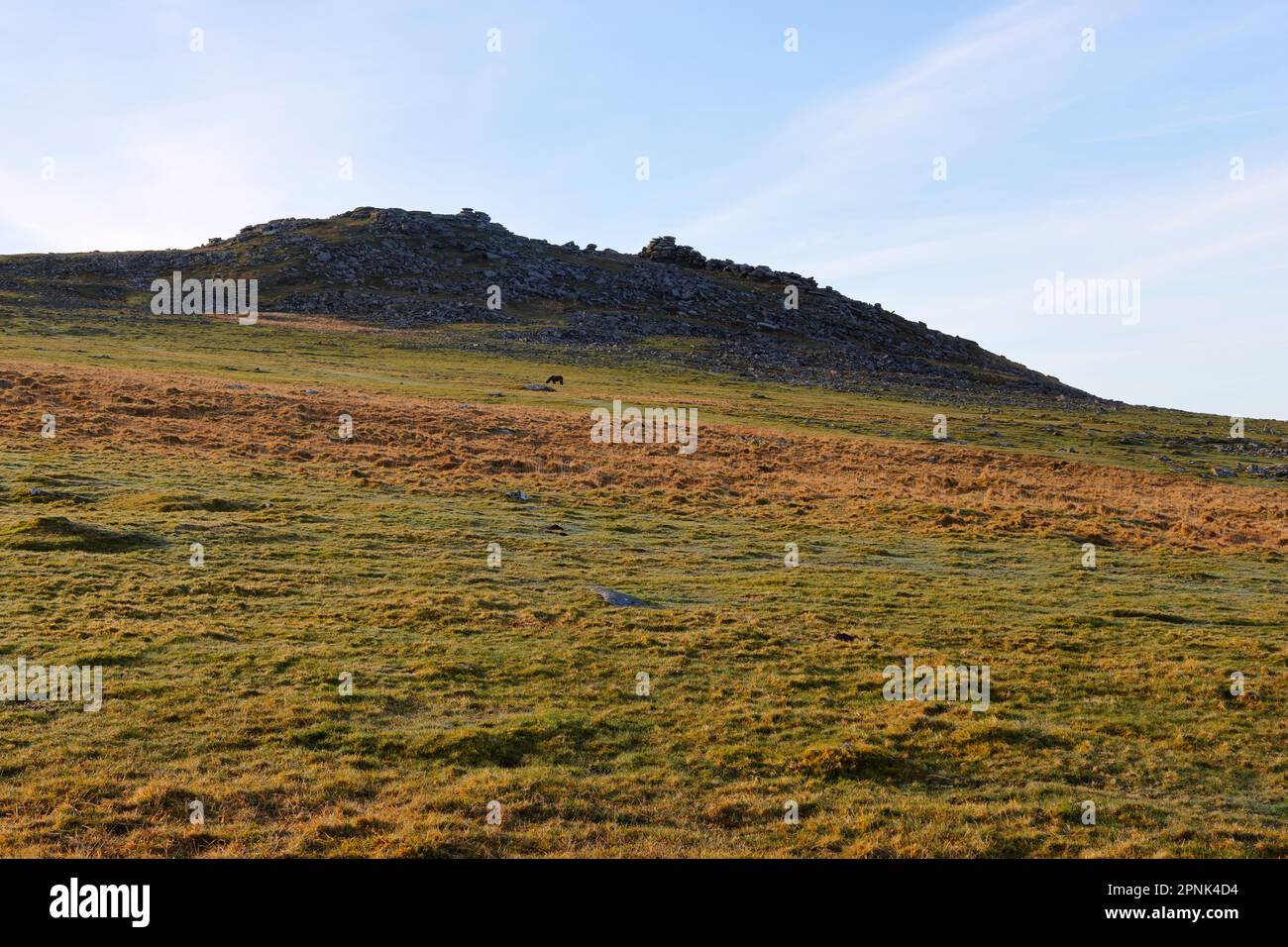 Rough Tor and Showery Tor, Bodmin Moor, Cornwall, UK Stock Photo - Alamy