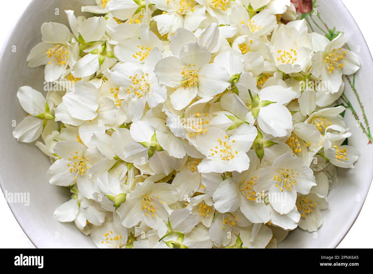 Jasmine flower in a rustic bowl. White jasmine flower for tea and syrup ...