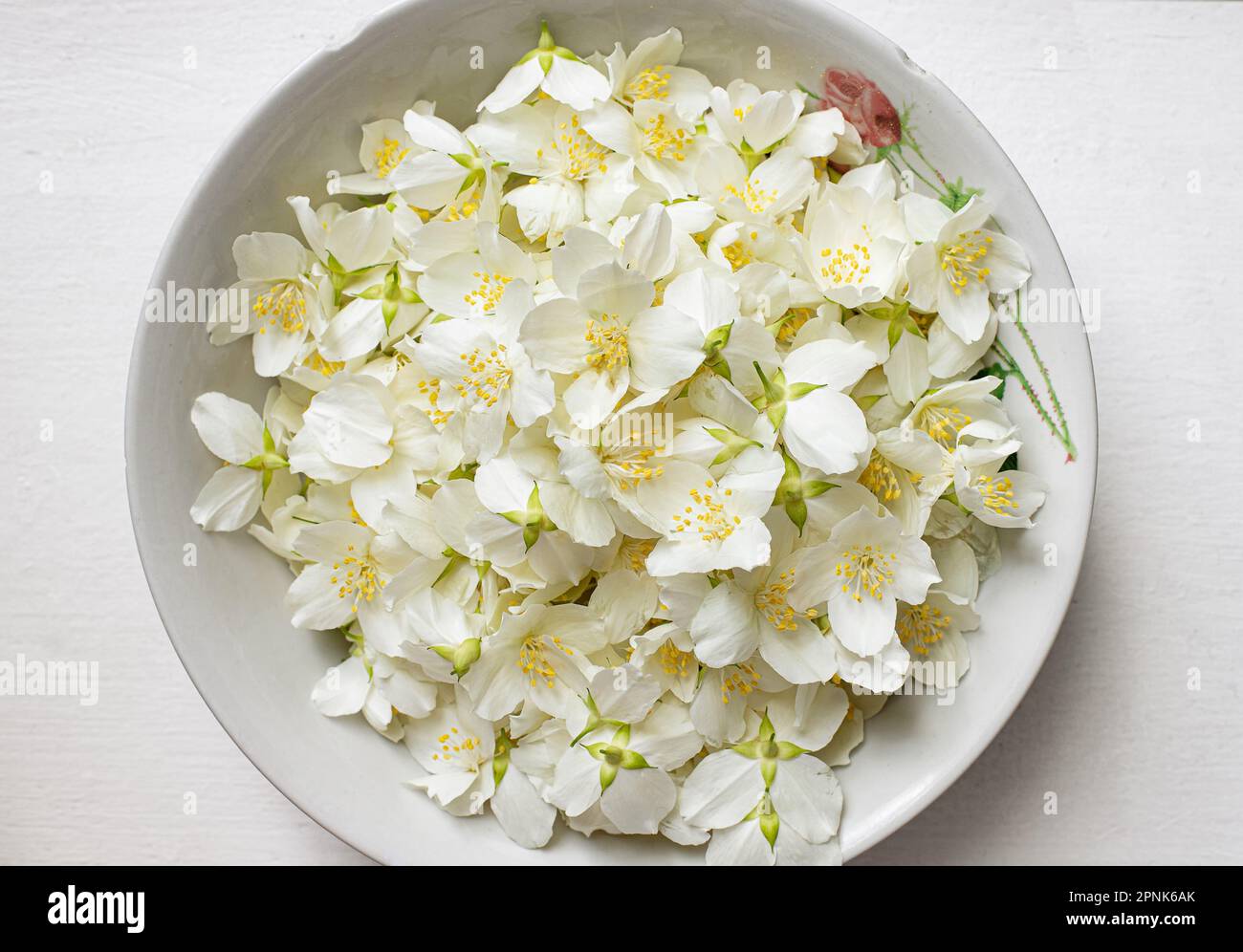 Jasmine flower in a rustic bowl. White jasmine flower for tea and syrup ...