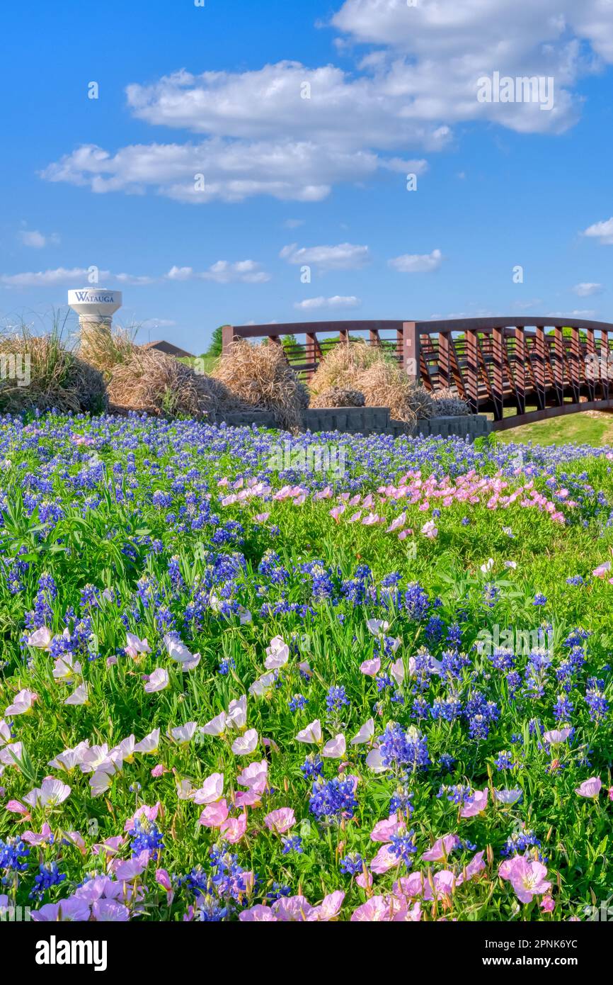 Watauga hi-res stock photography and images - Alamy