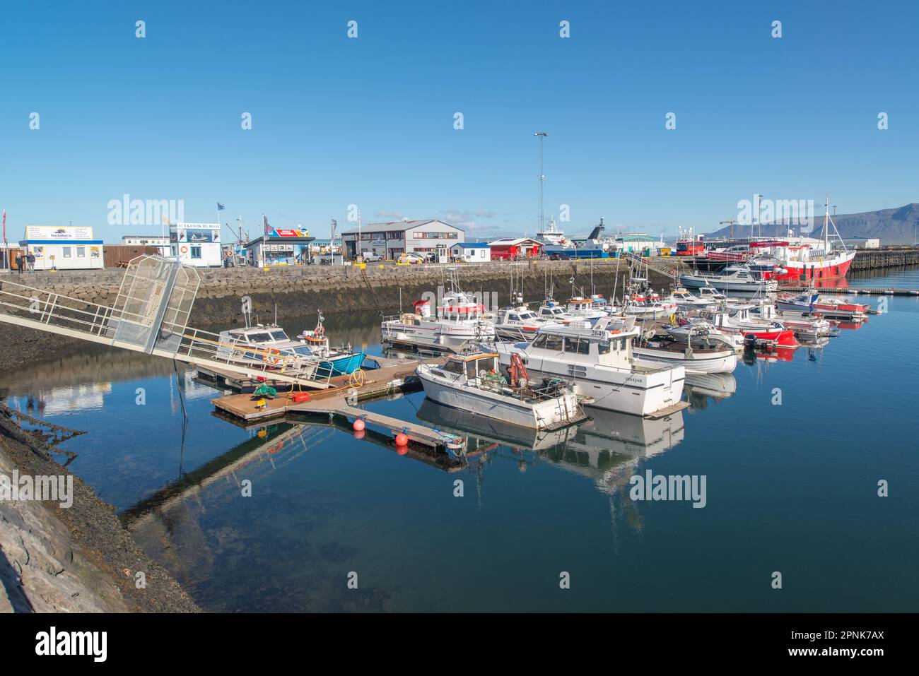 Whale watching boats in harbour, Reykjavik, Iceland, Europe Stock Photo ...