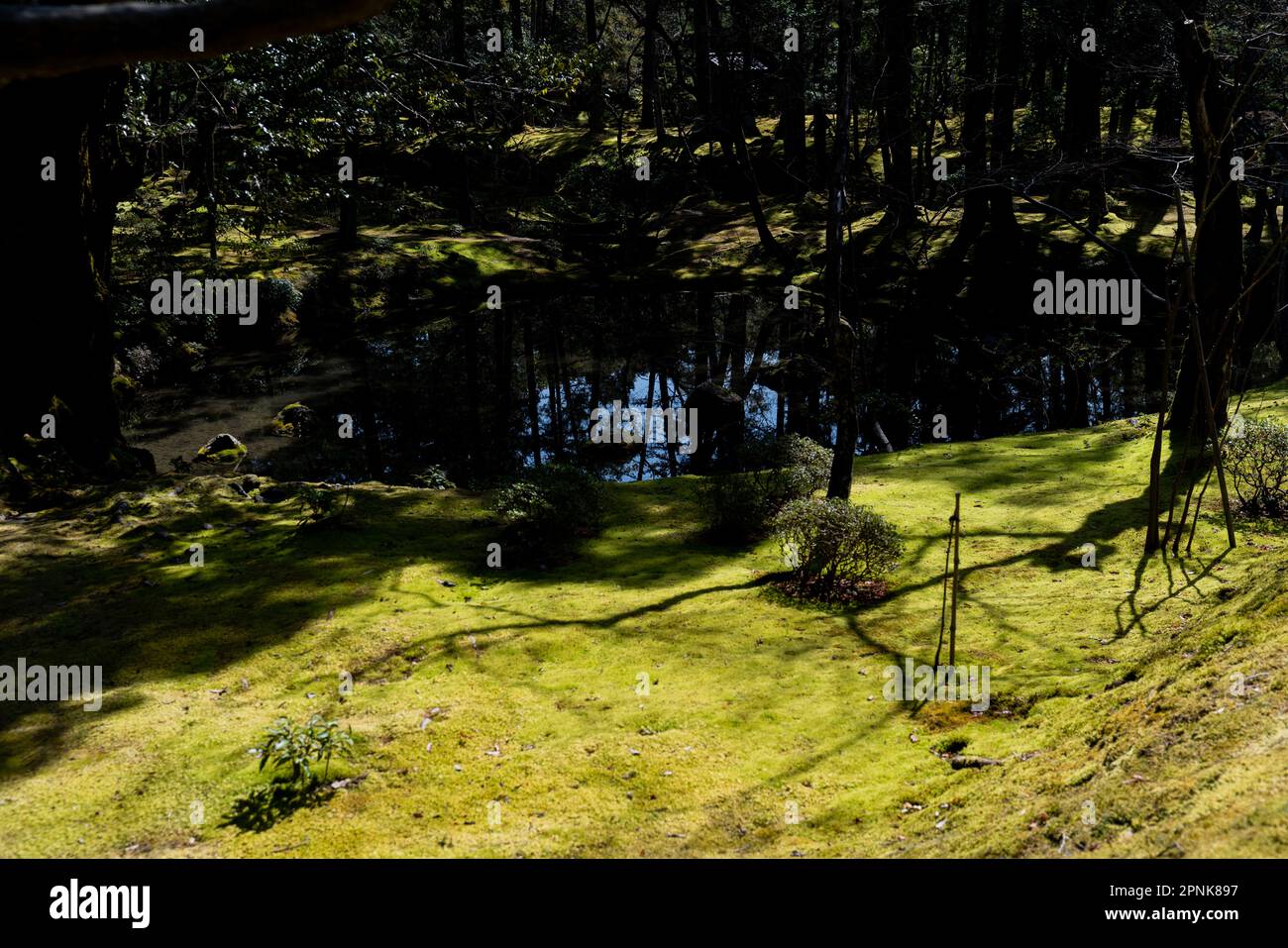 Saihoji, known as kokedera or moss temple, is famous for its secluded ...