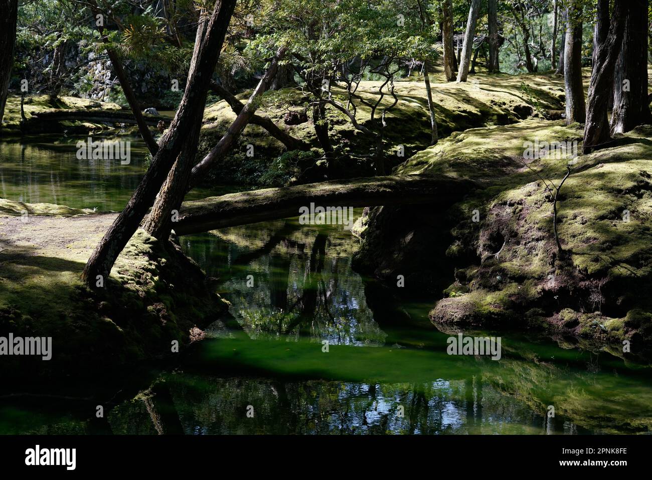 Saihoji, known as kokedera or moss temple, is famous for its secluded ...