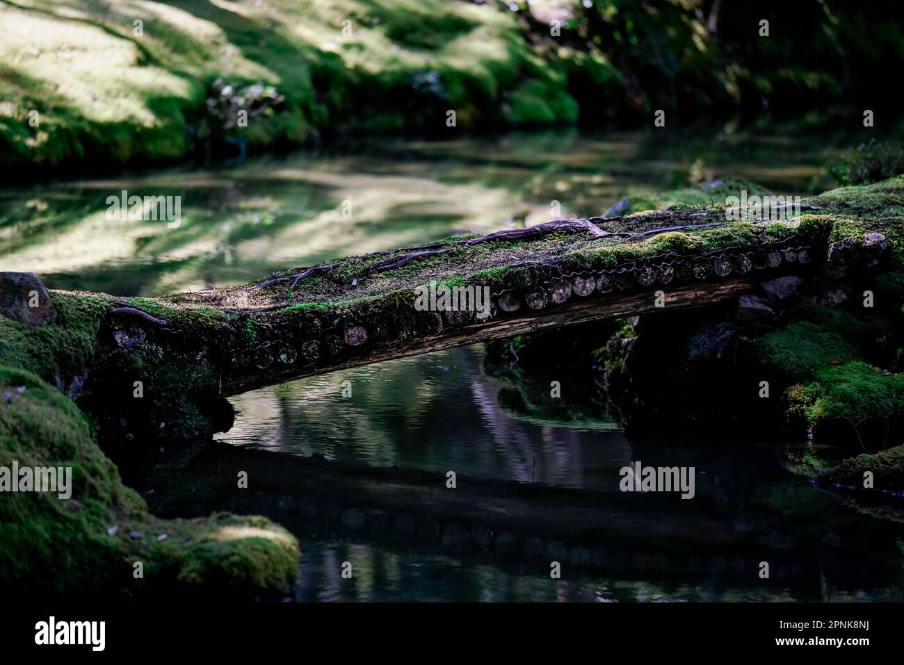 Saihoji, known as kokedera or moss temple, is famous for its secluded ...