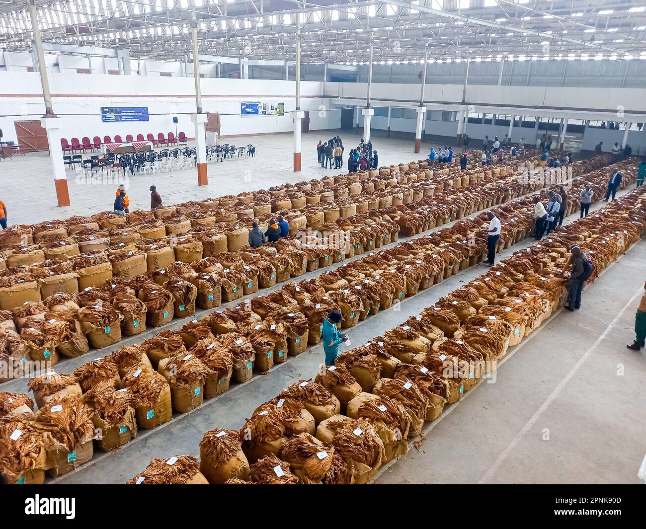 Blantyre, Malawi. 17th Apr, 2023. People work at the Limbe Auction ...