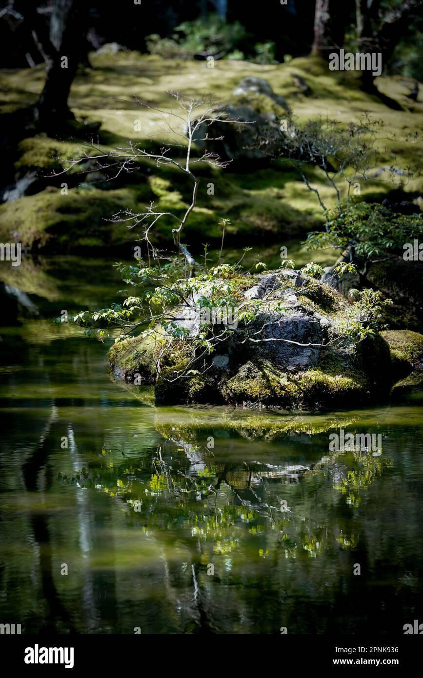 Saihoji, known as kokedera or moss temple, is famous for its secluded ...