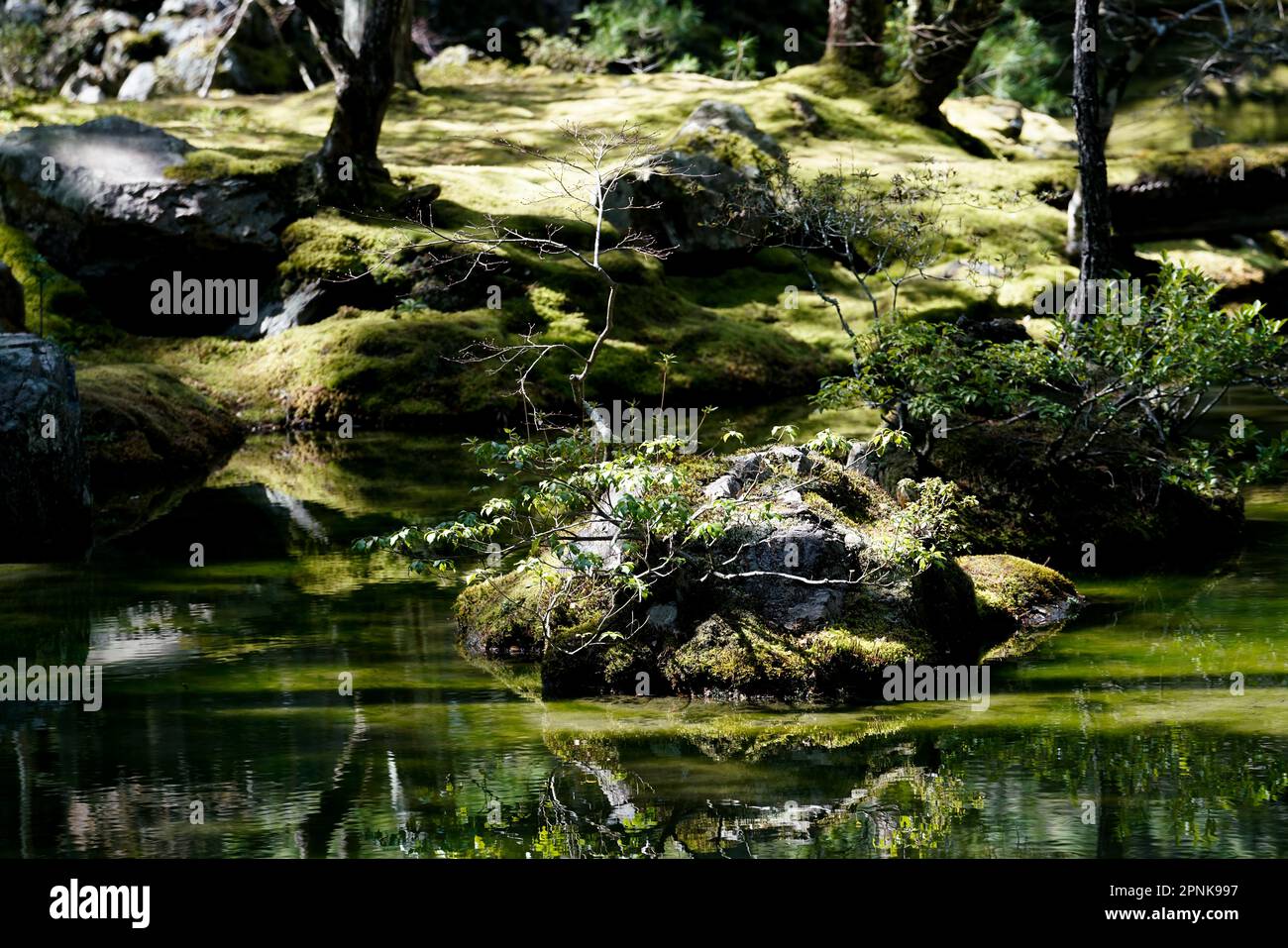 Saihoji, known as kokedera or moss temple, is famous for its secluded ...