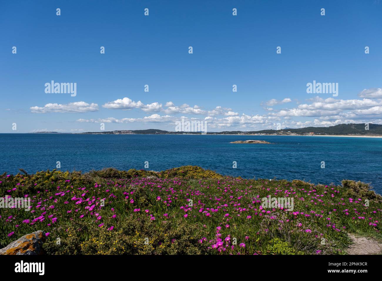 Springtime coastal landscape in Atlantic Islands of Galicia National ...