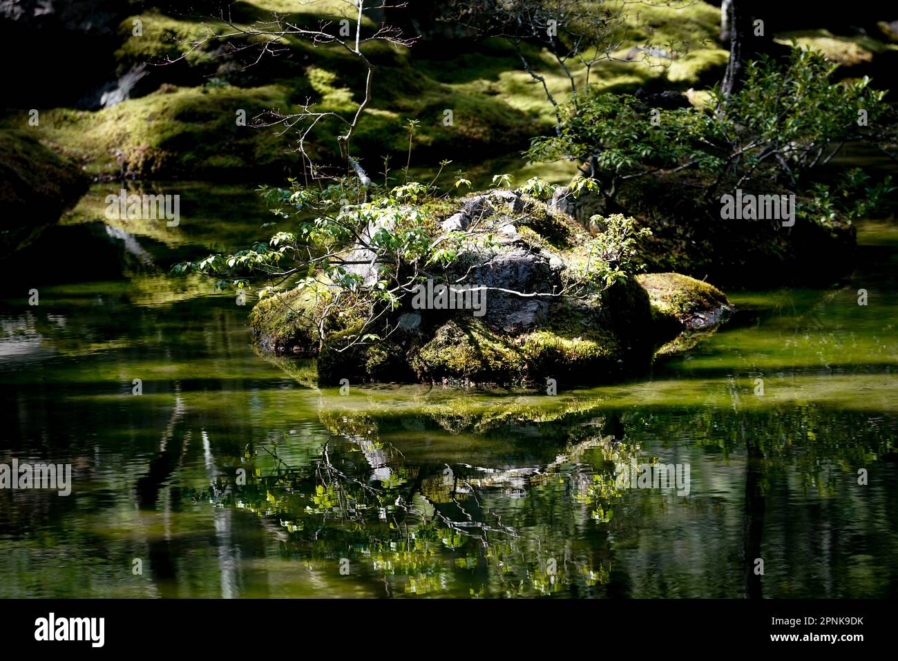 Saihoji, known as kokedera or moss temple, is famous for its secluded ...