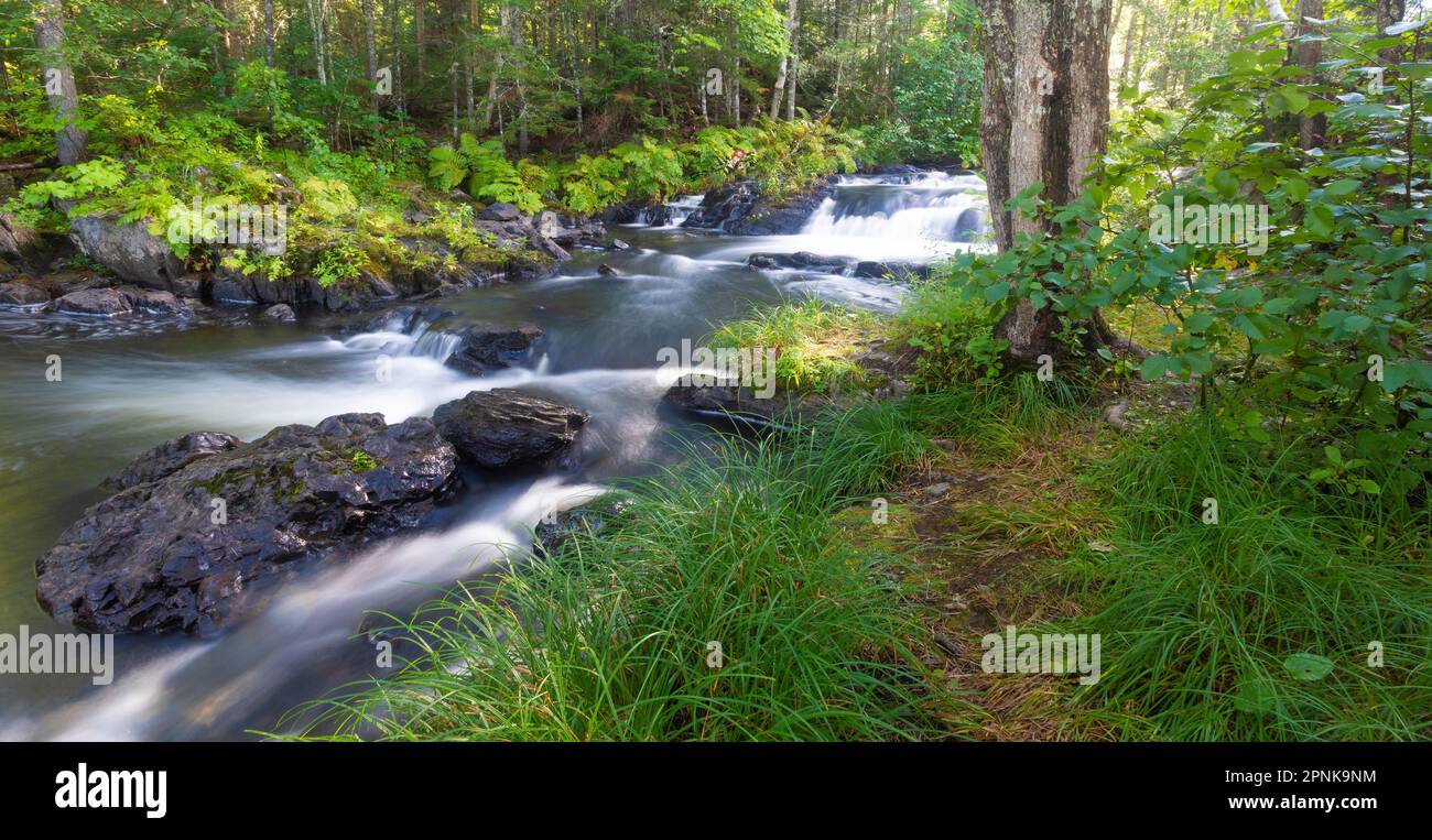 Fast running river in a Maine forest with cascades Stock Photo - Alamy