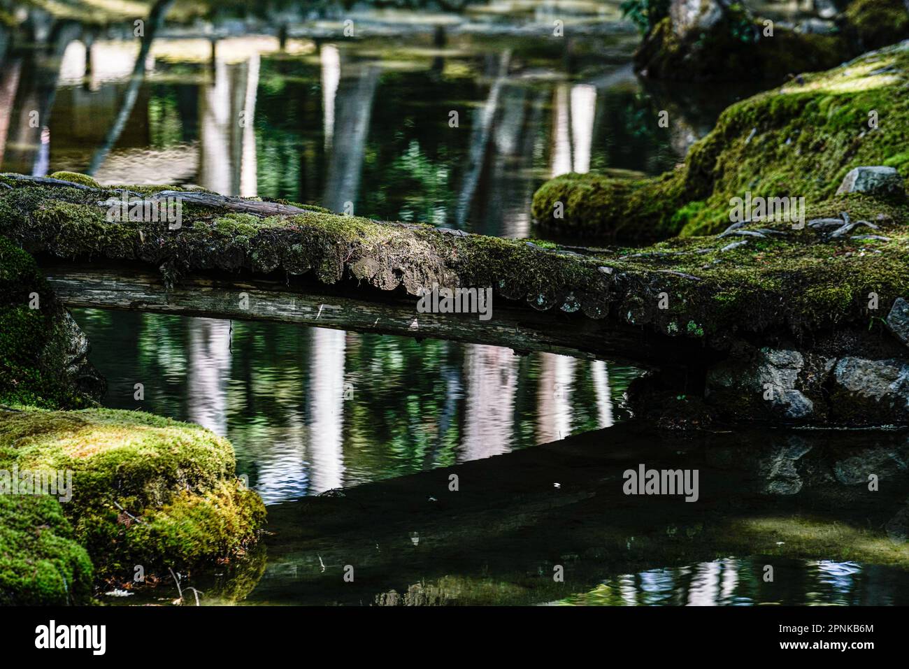 Saihoji, known as kokedera or moss temple, is famous for its secluded ...