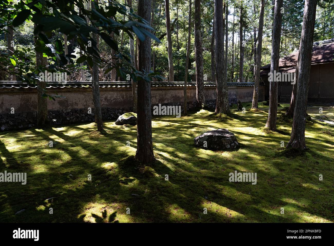 Saihoji, known as kokedera or moss temple, is famous for its secluded ...