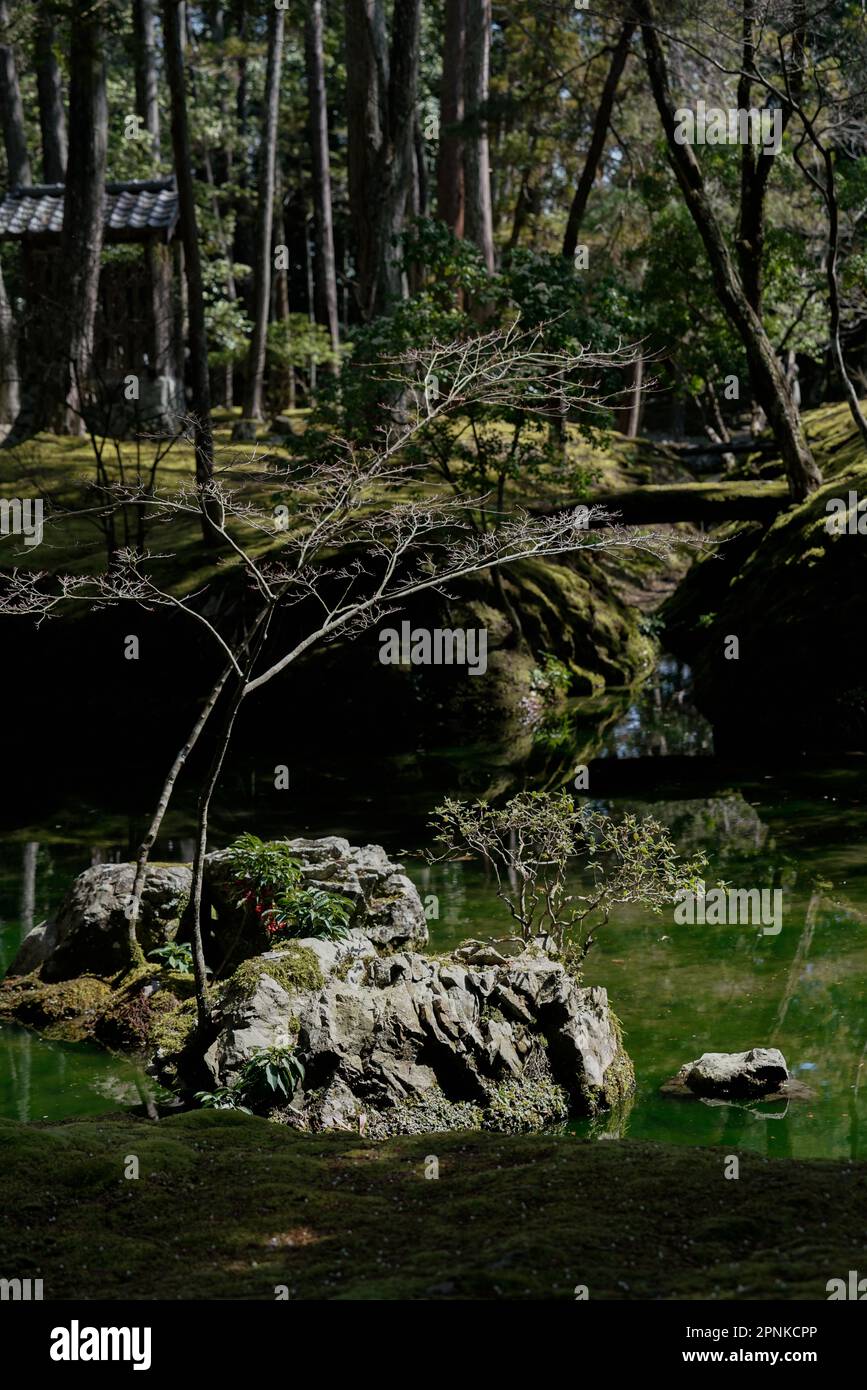 Saihoji, known as kokedera or moss temple, is famous for its secluded ...