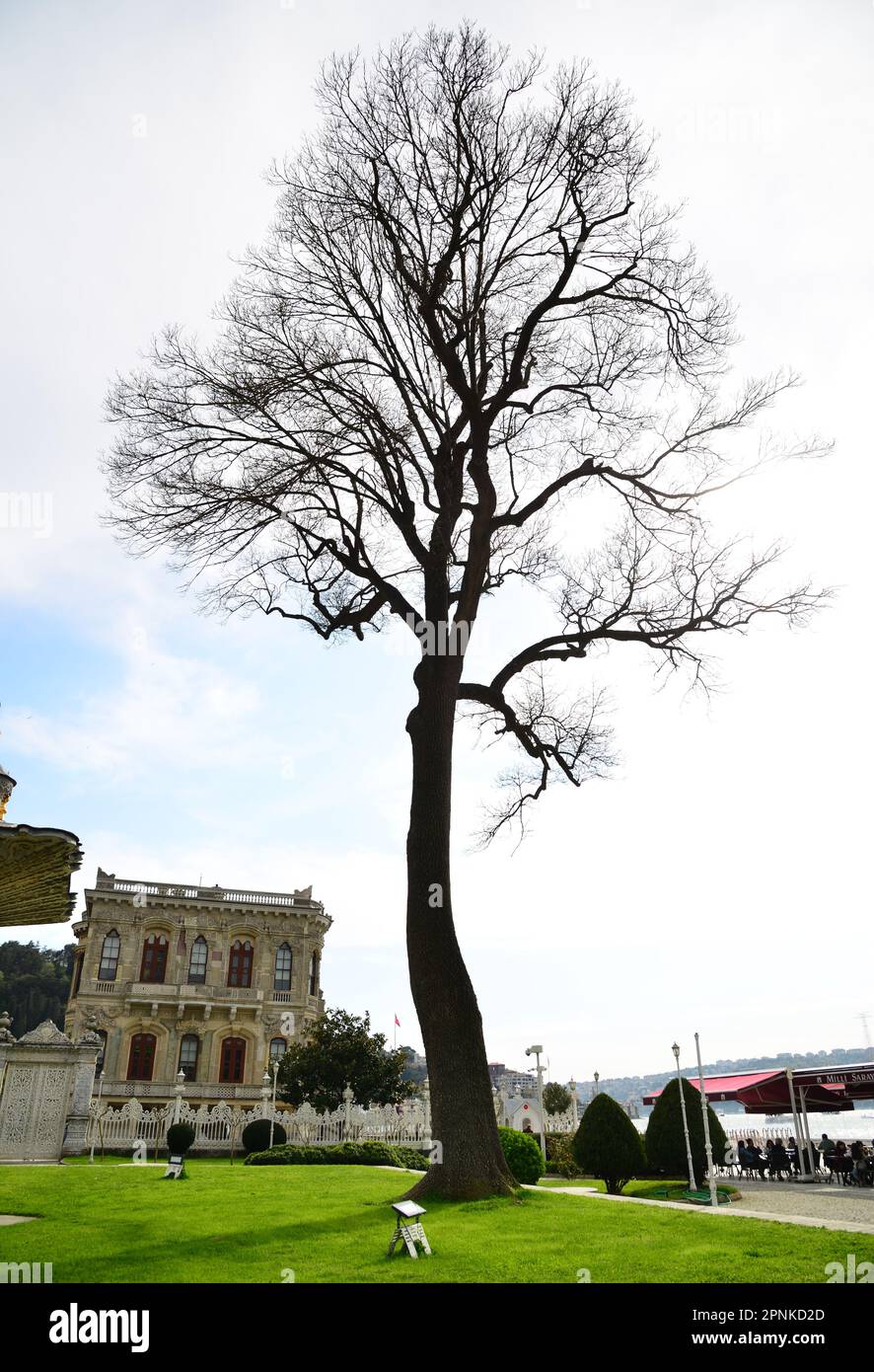Kucuksu Palace - Istanbul in Turkey Stock Photo - Alamy