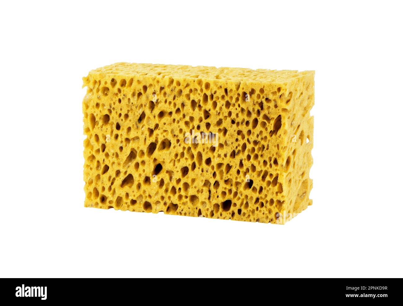 Foam sponge hi-res stock photography and images - Alamy
