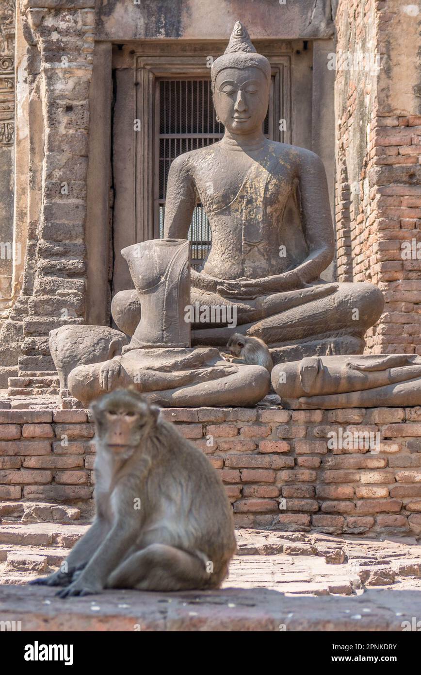 Thailand monkey statue hi-res stock photography and images - Alamy
