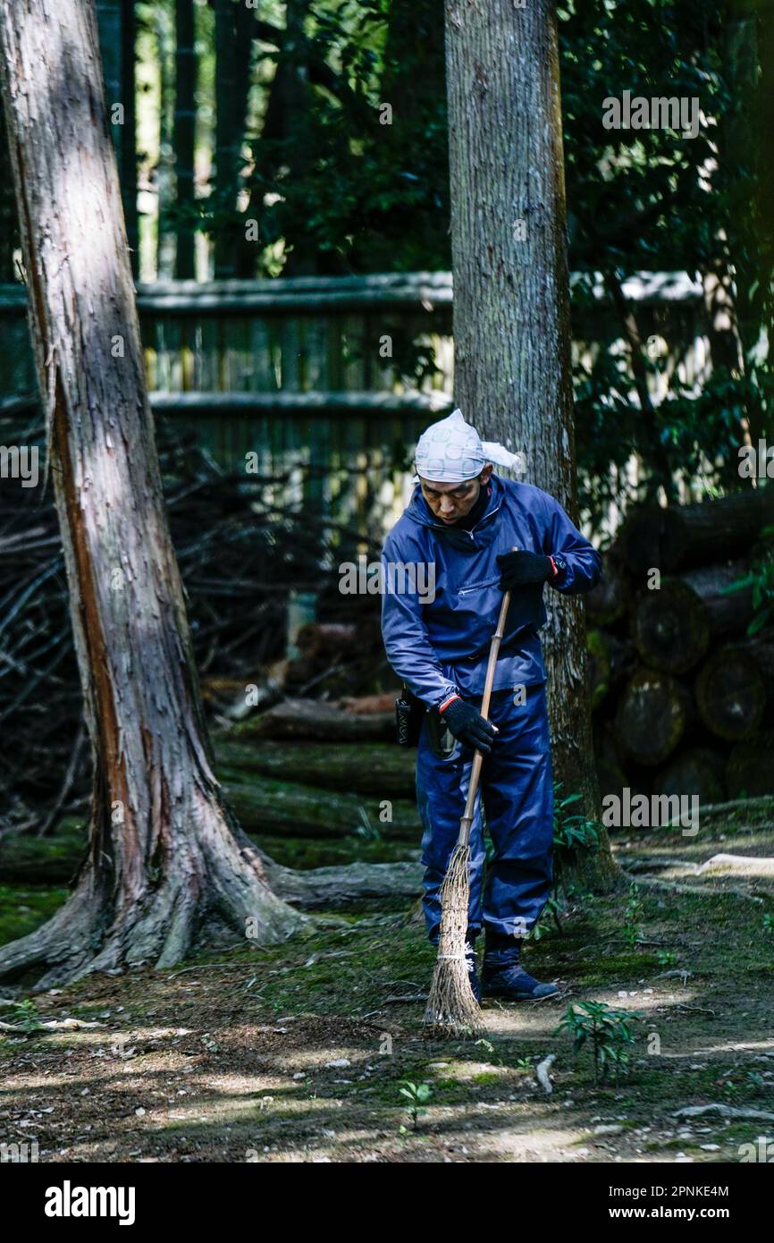 Moss temple hi-res stock photography and images - Alamy