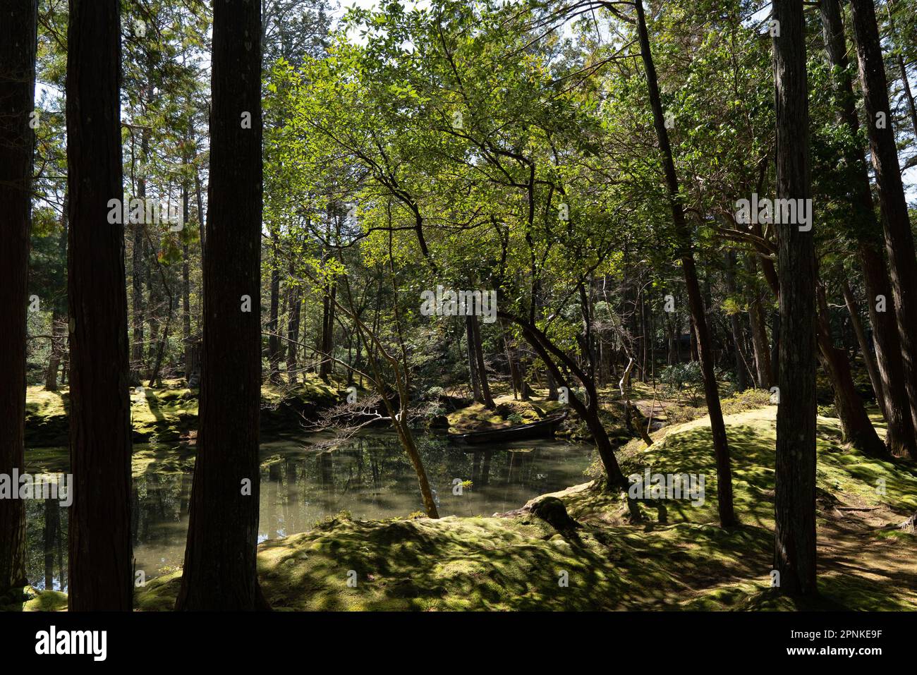 Saihoji, known as kokedera or moss temple, is famous for its secluded ...
