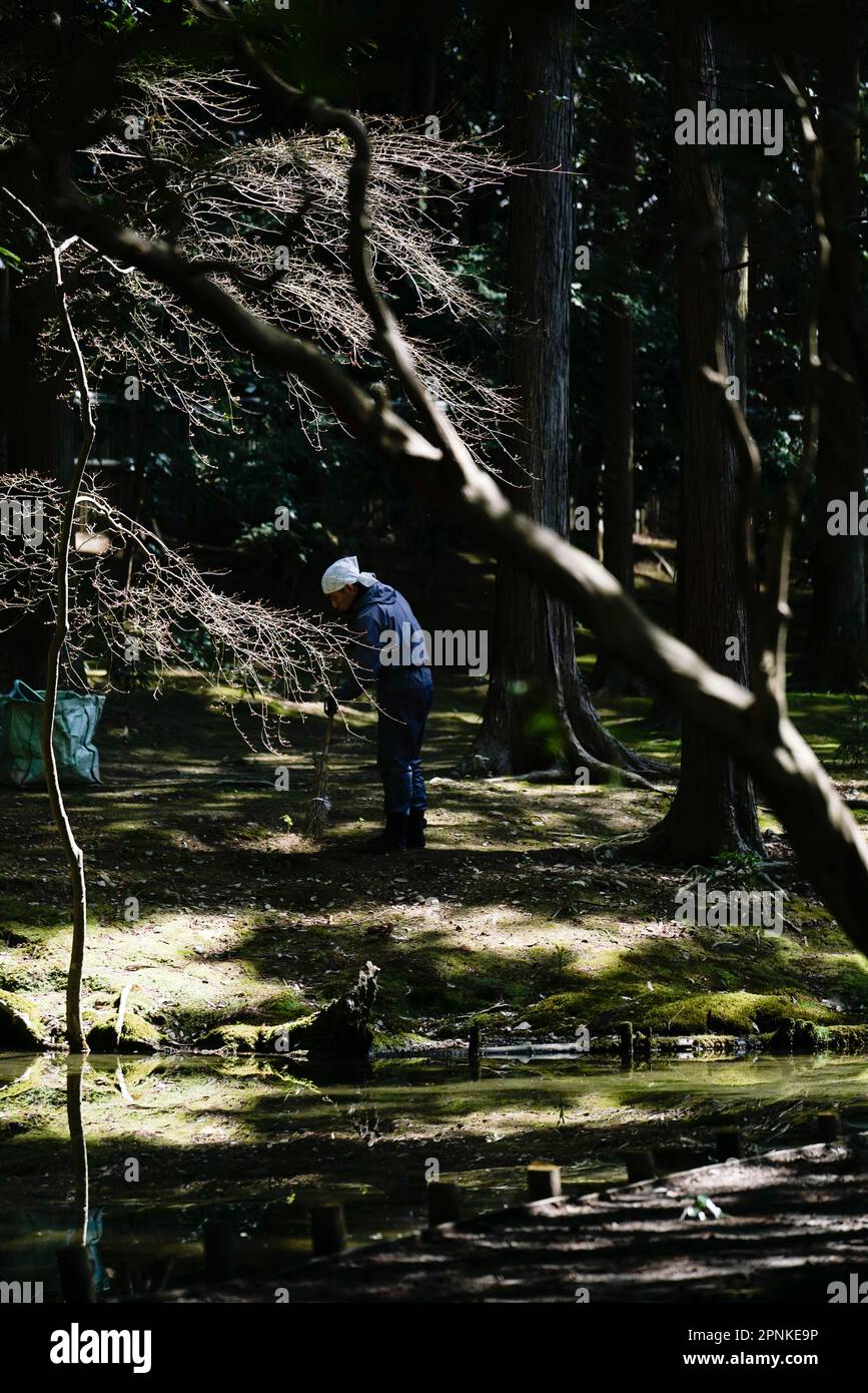Saihoji, known as kokedera or moss temple, is famous for its secluded ...
