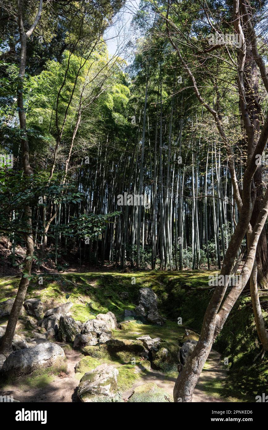 Saihoji, known as kokedera or moss temple, is famous for its secluded ...