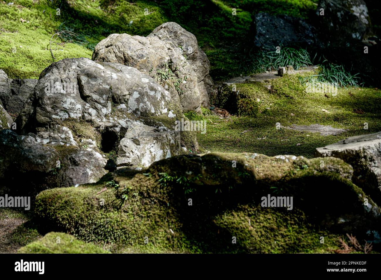 Saihoji, known as kokedera or moss temple, is famous for its secluded ...