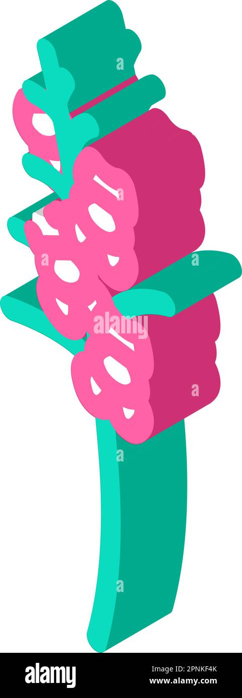snapdragon blossom spring isometric icon vector illustration Stock ...