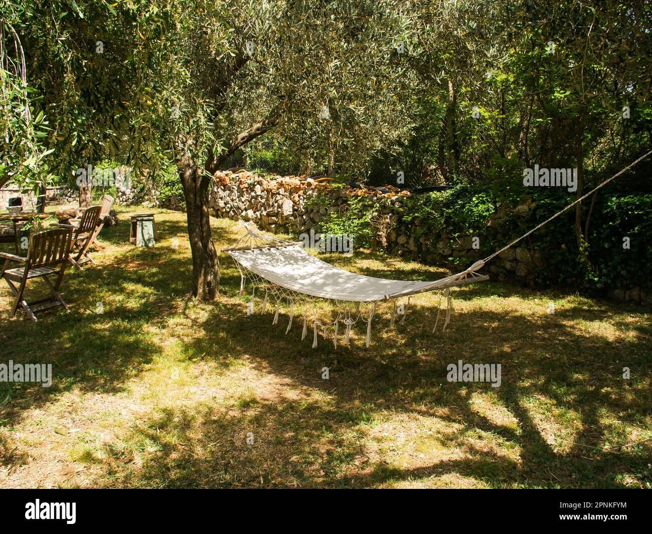 White hammock hanging under tree in countryside - cottagecore and ...
