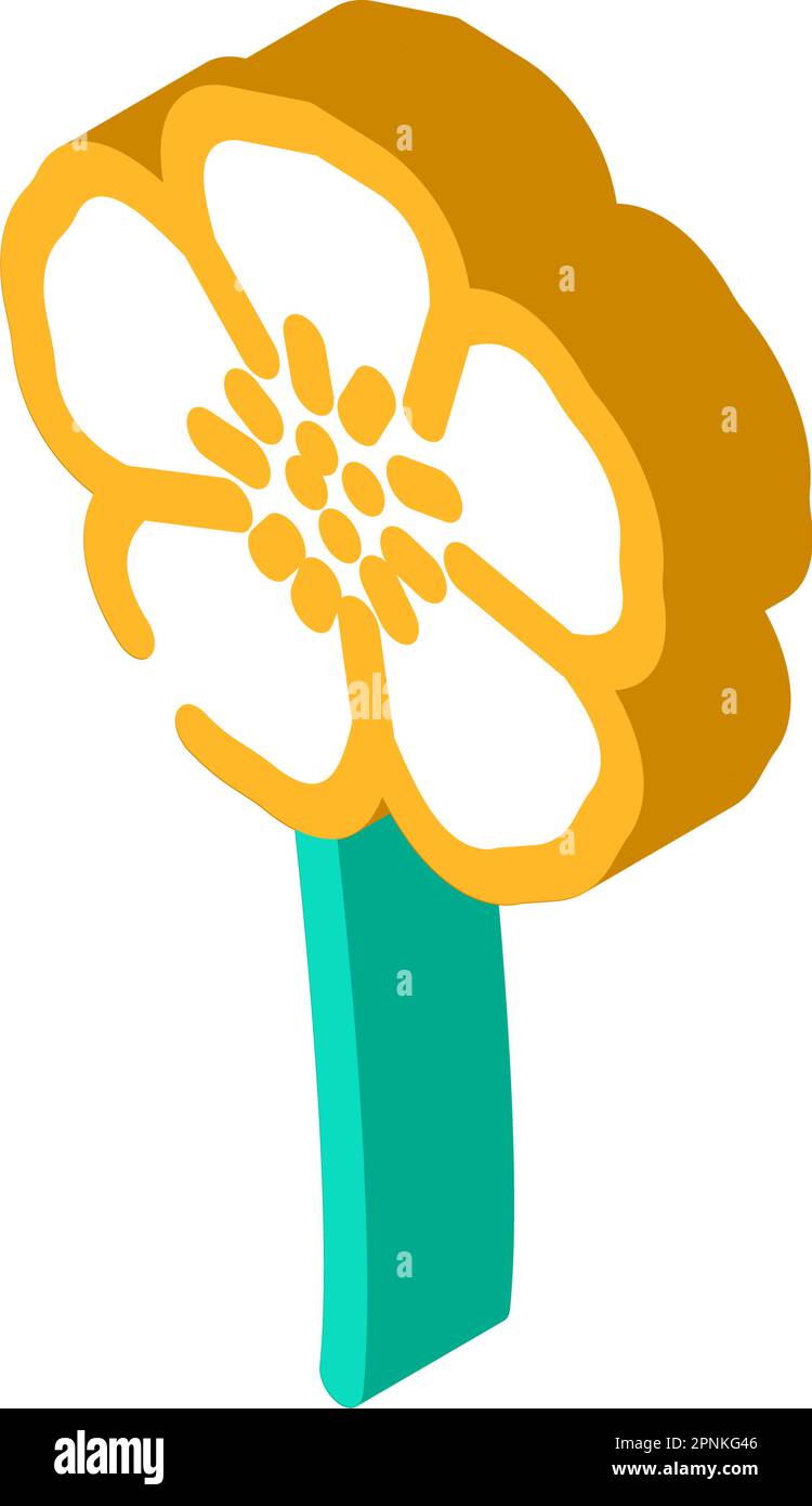 Petal spring isometric icon hi-res stock photography and images - Alamy