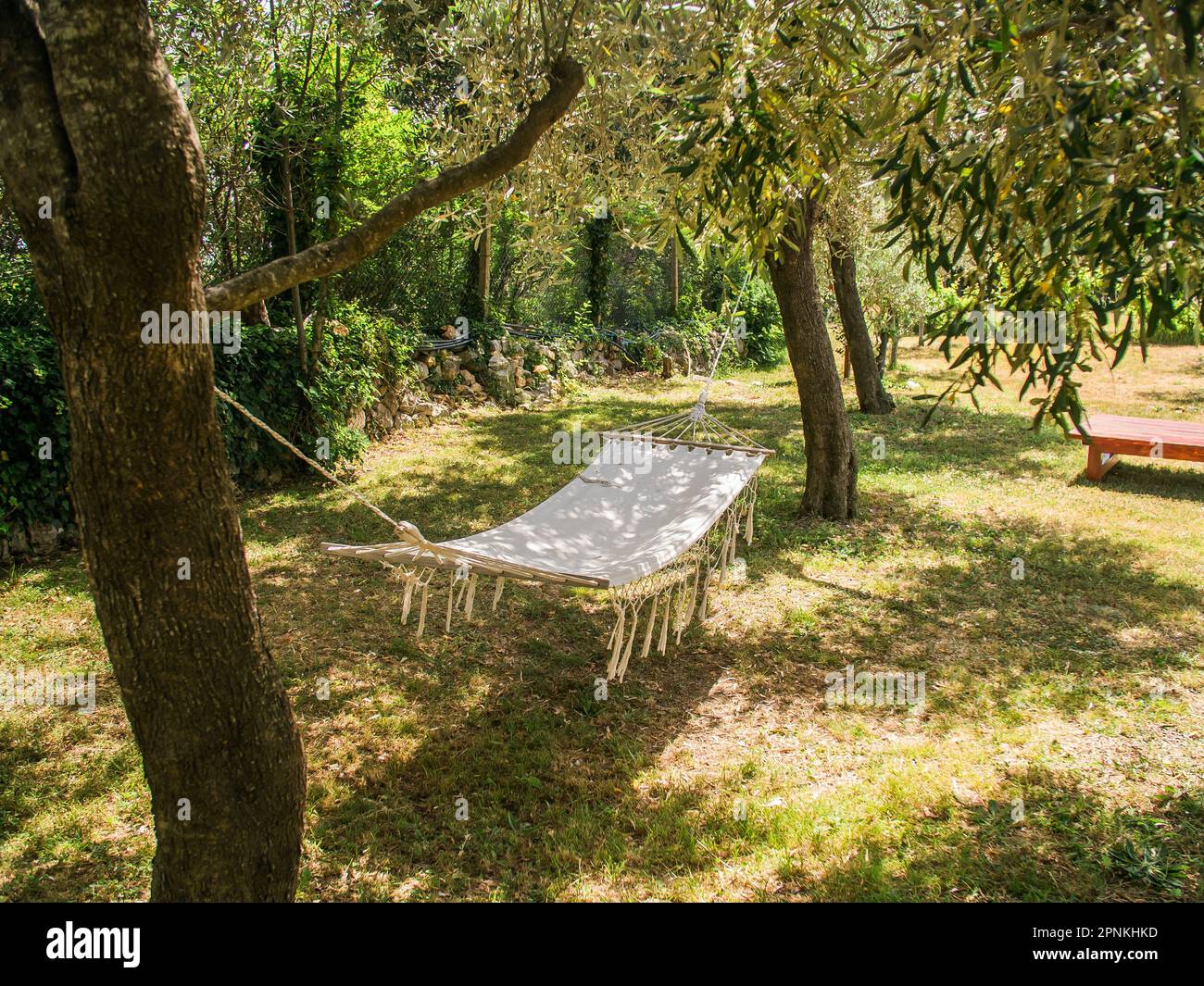 White hammock hanging under tree in countryside - cottagecore and ...